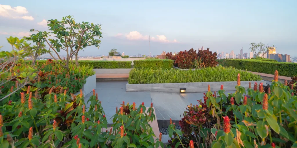 Transformasi Atap Menjadi Ruang Hijau Produktif: Manfaat dan Cara ...