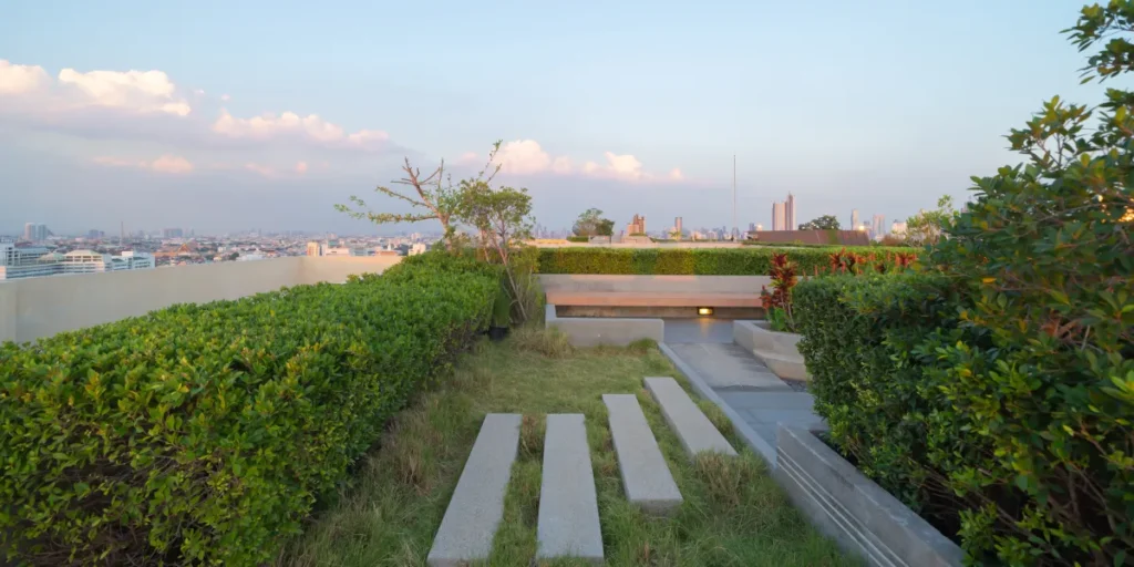 Transformasi Atap Menjadi Ruang Hijau Produktif: Manfaat dan Cara ...